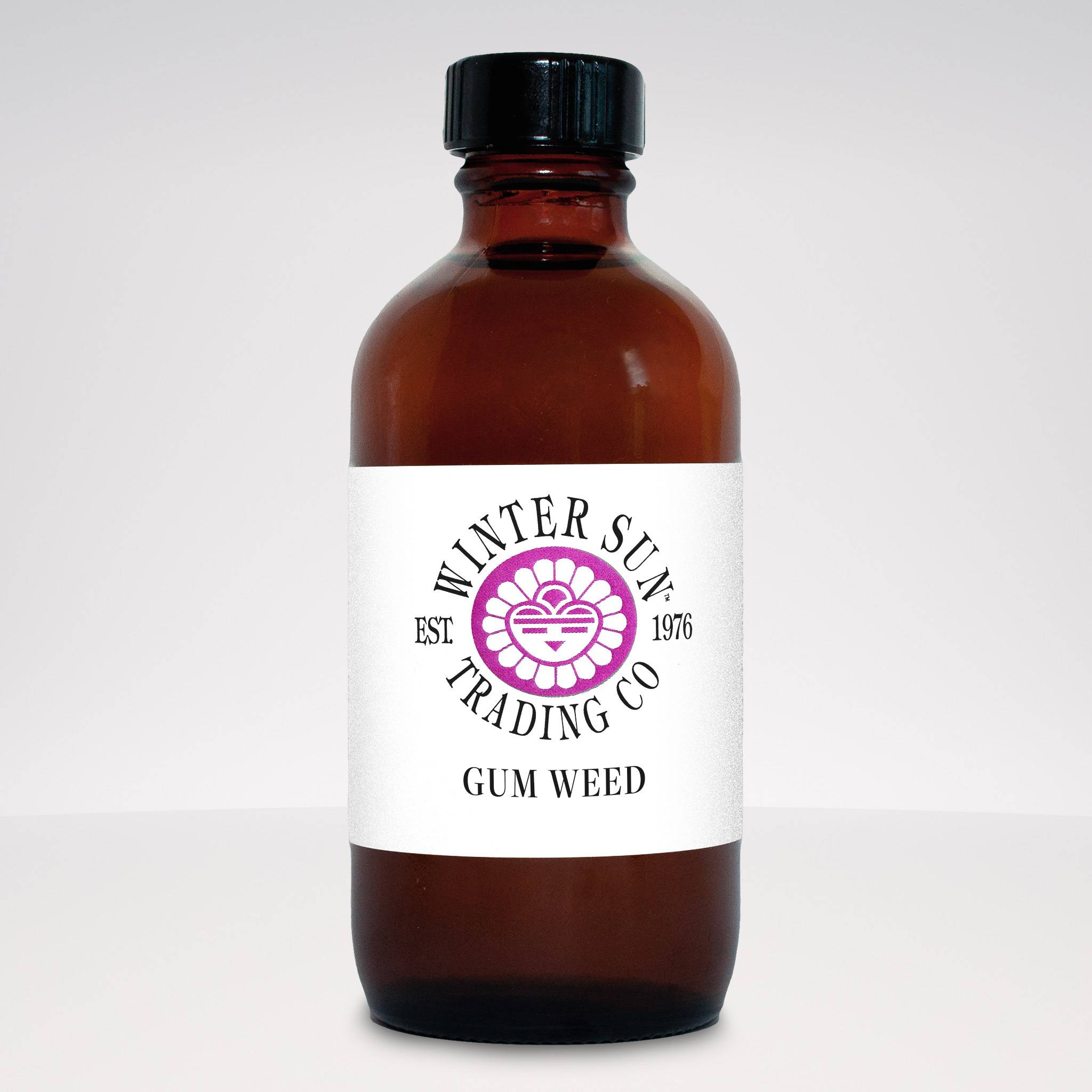 Gum Weed herbal tincture 1 oz. - Winter Sun Trading Co.