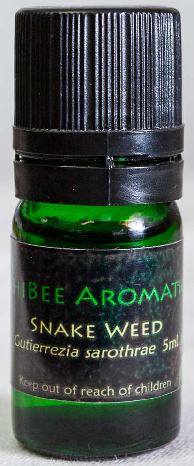 Snake Weed Essential Oil - 5 mL - PhiBee Aromatics – Winter Sun Trading Co.